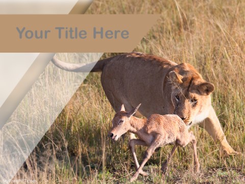 Free Fox PPT Template - Download Free PowerPoint PPT