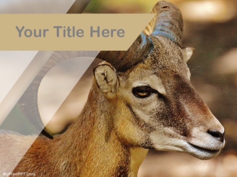 Free Capybara PPT Template - Download Free PowerPoint PPT