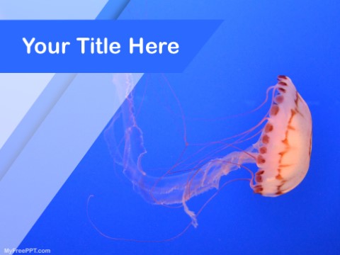 Free Marine Life PowerPoint Templates - MyFreePPT.com