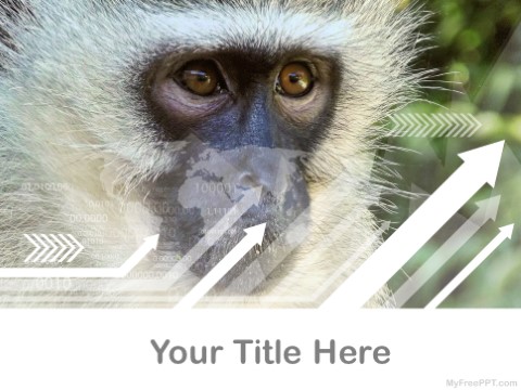 Free Monkey PowerPoint Templates - MyFreePPT.com
