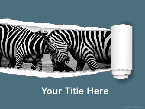 Free Zebra PowerPoint Templates - MyFreePPT.com